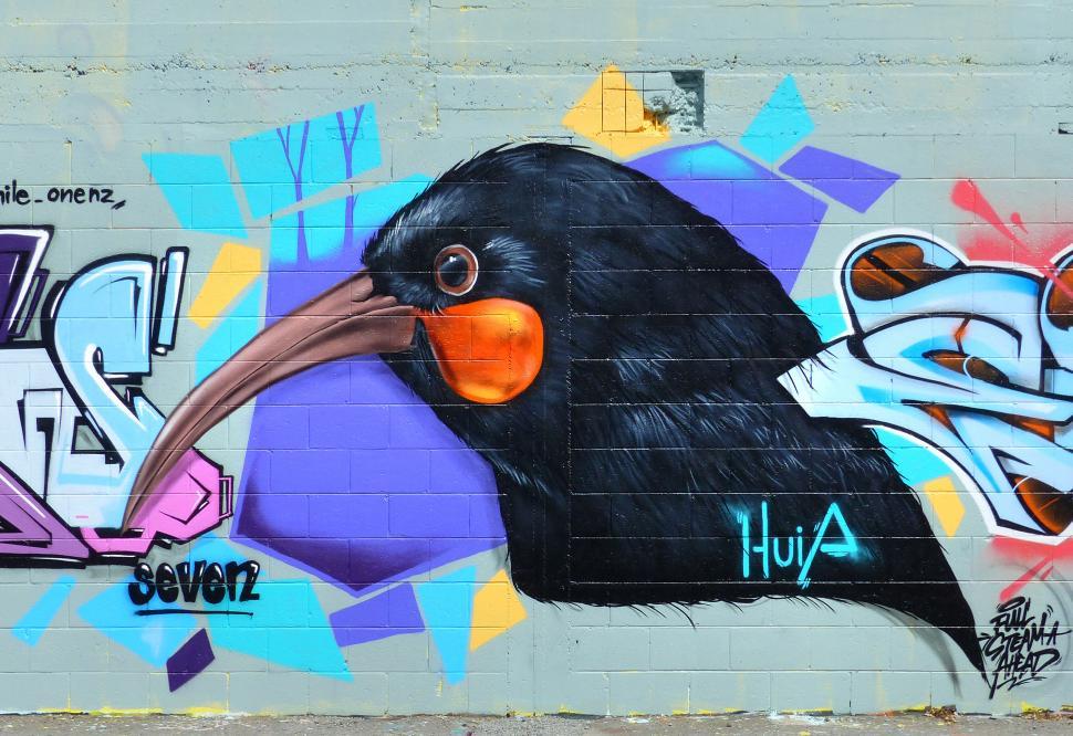 Free Stock Photo of Realistic bird graffiti on an urban wall | Download ...