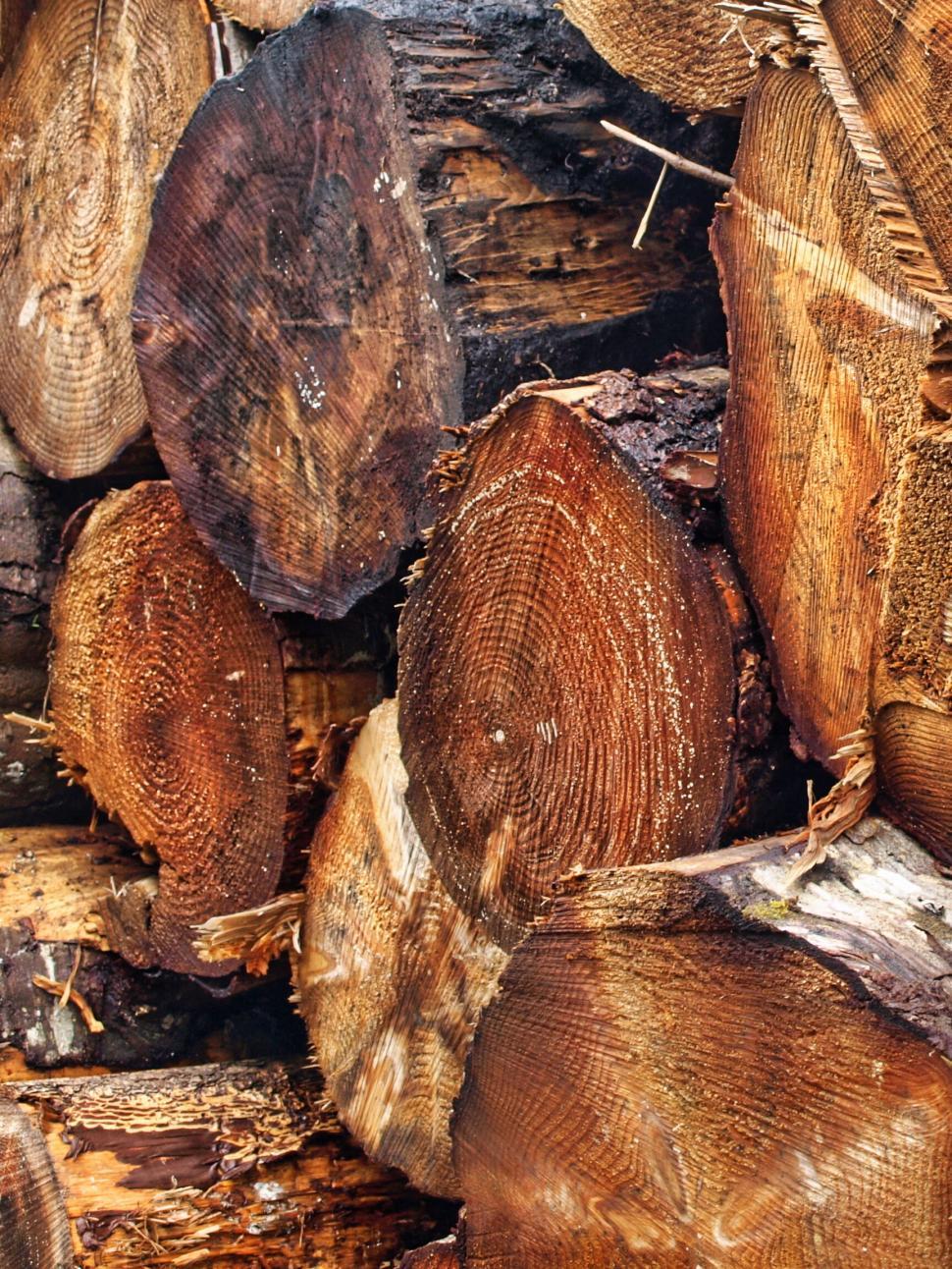 Free Stock Photo of Woodpile pattern and texture detail | Download Free ...