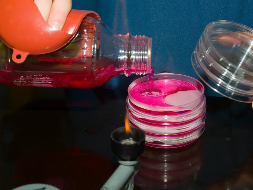 Free Stock Photo of Microbiology | Download Free Images and Free ...