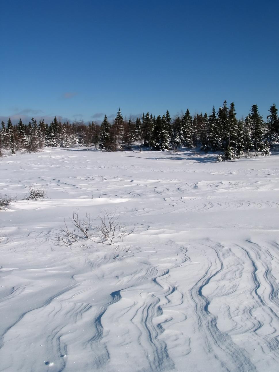 Free Stock Photo of Winter Wonderland | Download Free Images and Free ...