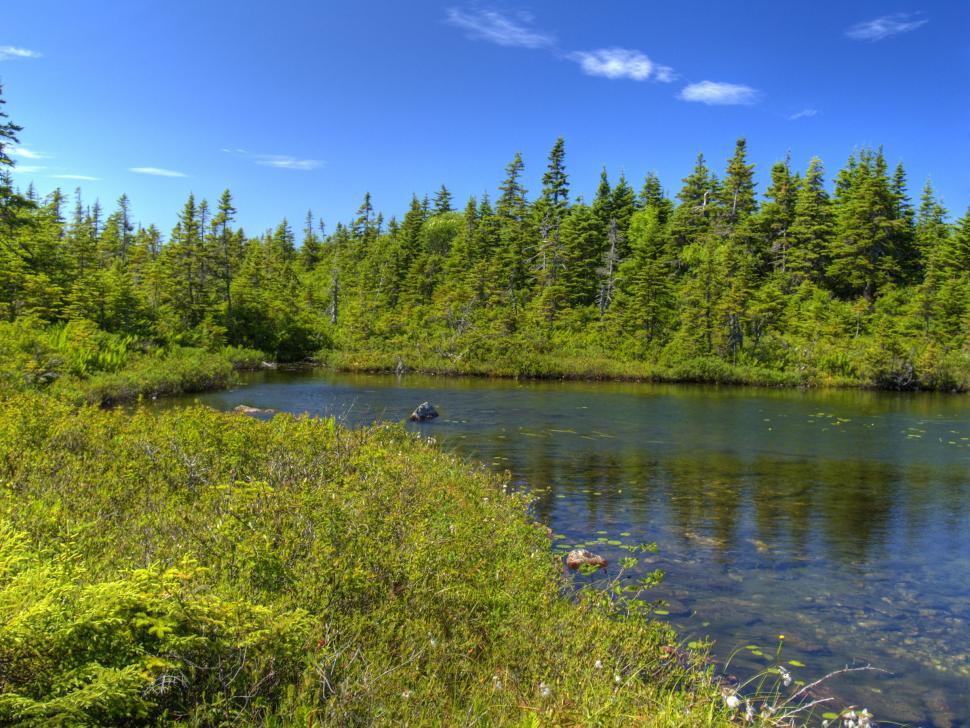 Free Stock Photo of River | Download Free Images and Free Illustrations