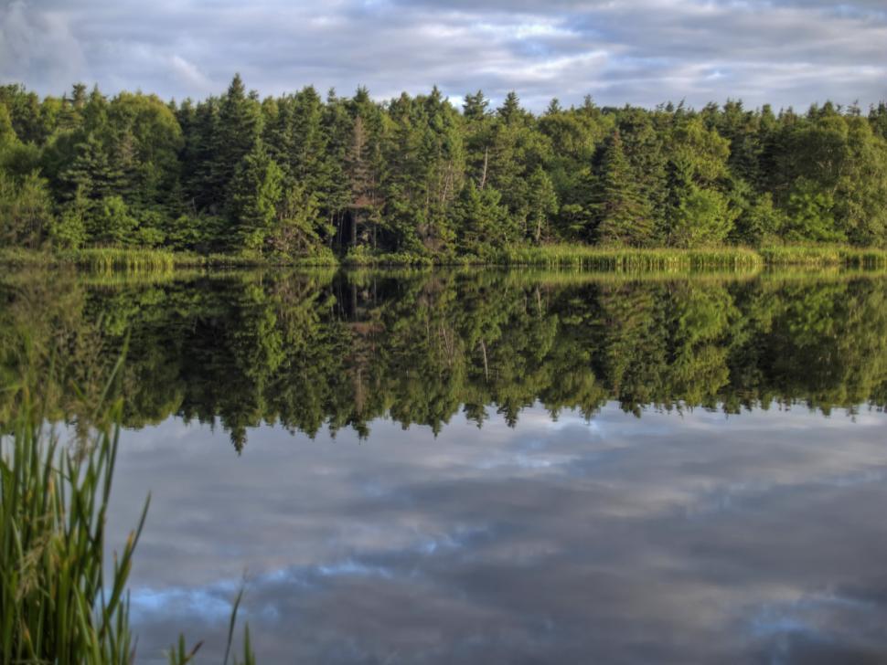 Free Stock Photo of LAke Reflection | Download Free Images and Free ...