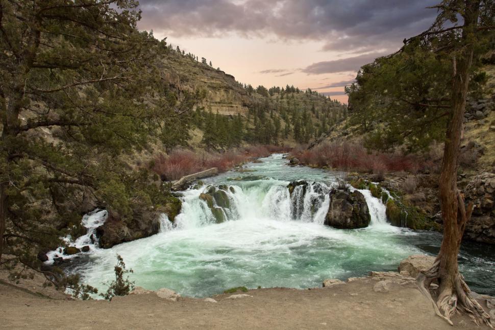 Free Stock Photo of Rushing waterfall in a rugged forest landscape ...