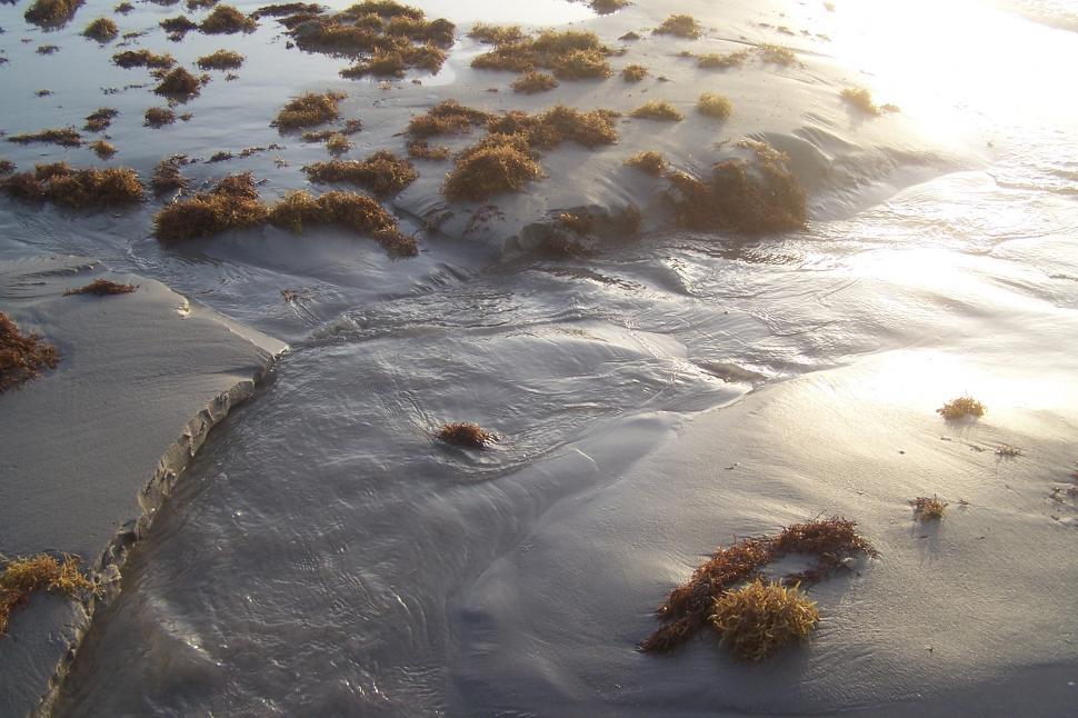 Free Stock Photo of Micro Beach Scene | Download Free Images and Free ...