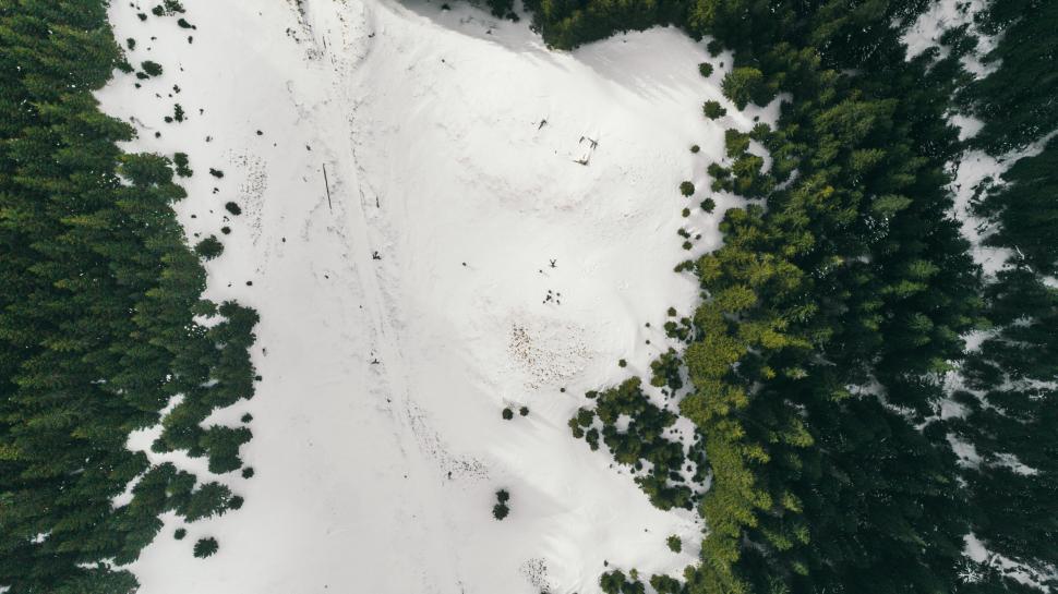 Free Stock Photo of Aerial view of snowy landscape with trees ...