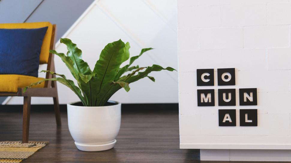 Free Stock Photo of Stylish communal space in modern office | Download ...