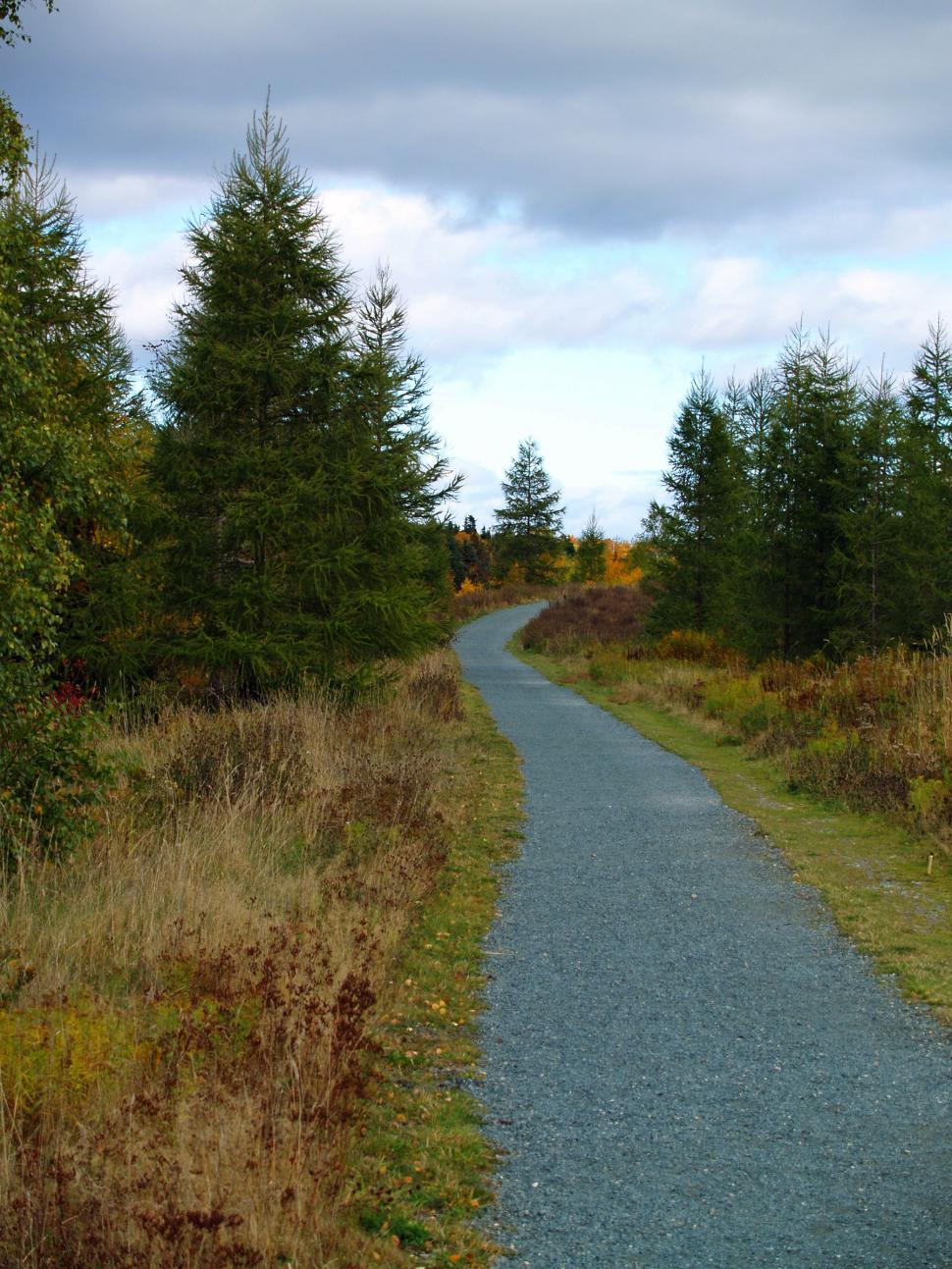 Free Stock Photo of Path | Download Free Images and Free Illustrations