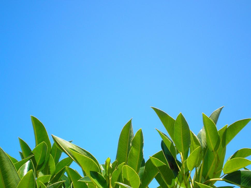 Free Stock Photo of Cloudless Sky | Download Free Images and Free ...