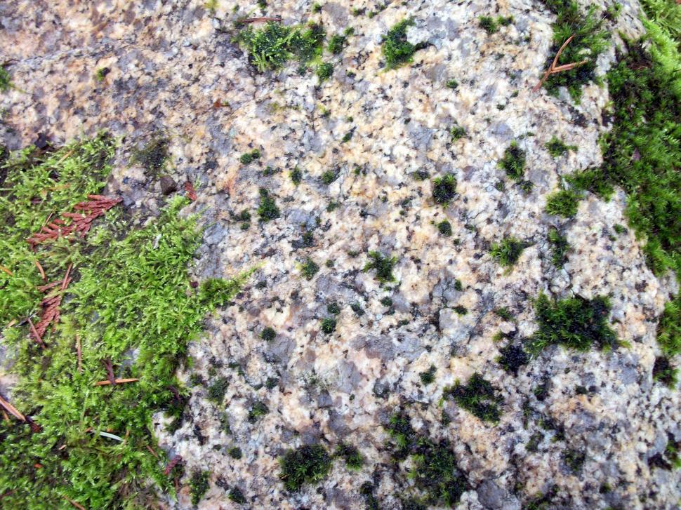 Free Stock Photo of Mossy Rock 1 | Download Free Images and Free ...