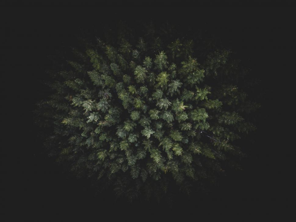 Free Stock Photo of Aerial view of dense forest from above | Download ...