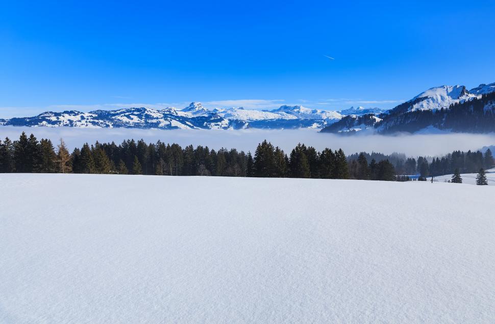 Free Stock Photo of Snow-covered landscape with trees and mountains ...