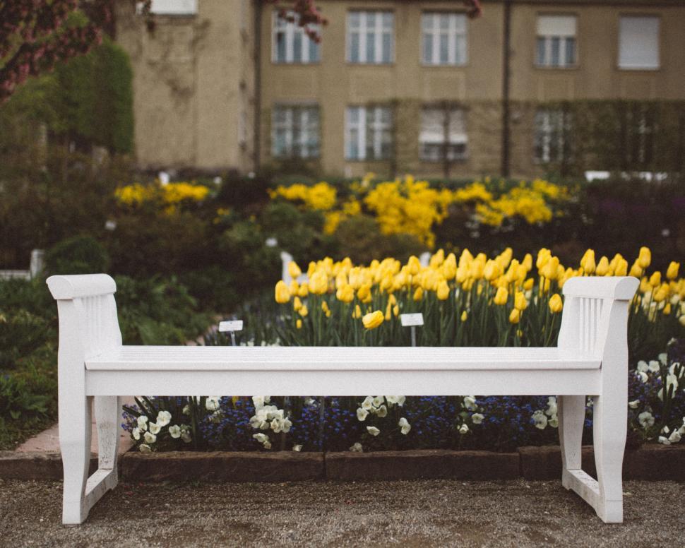 Free Stock Photo of White garden bench surrounded by flowers | Download ...