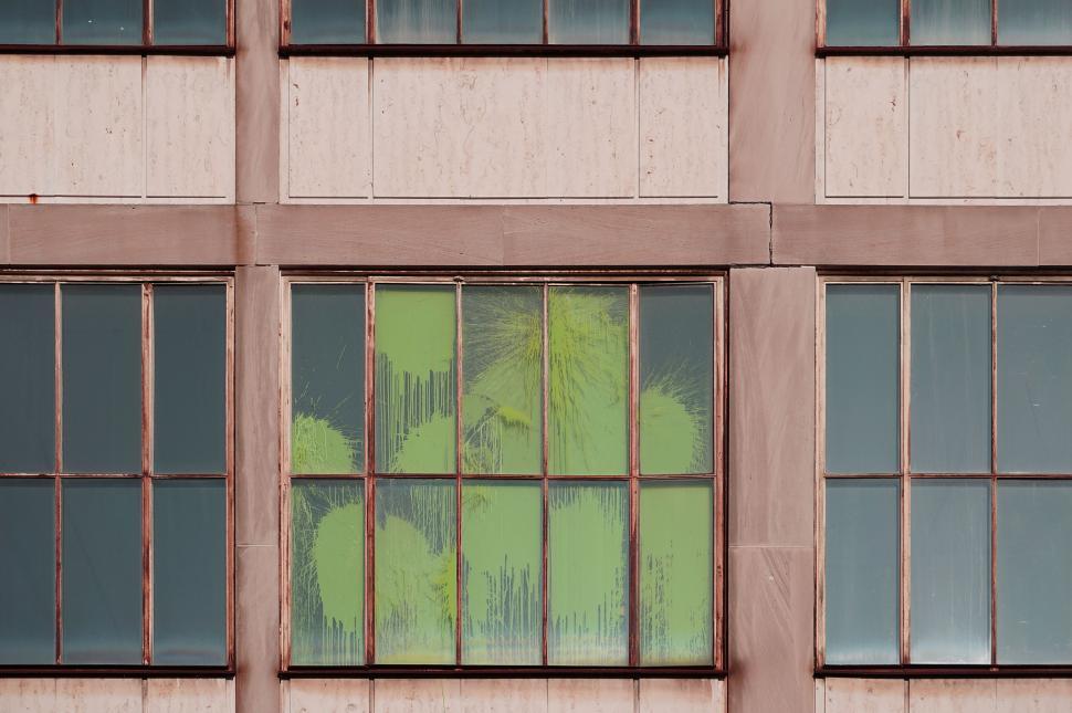 Free Stock Photo of Green foliage reflecting on a building window ...