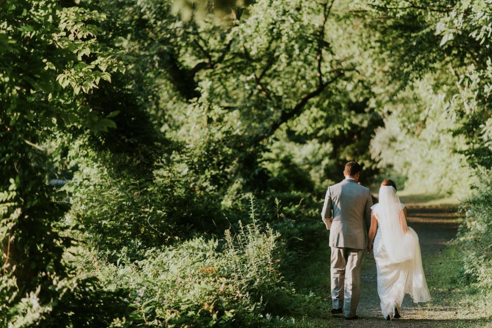 Free Stock Photo of Wedding couple walking down forest path | Download ...