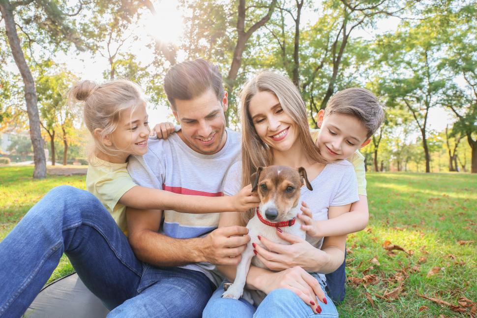 Free Stock Photo of Family and dog sitting on grass in sunny park | Download Free Images and ...