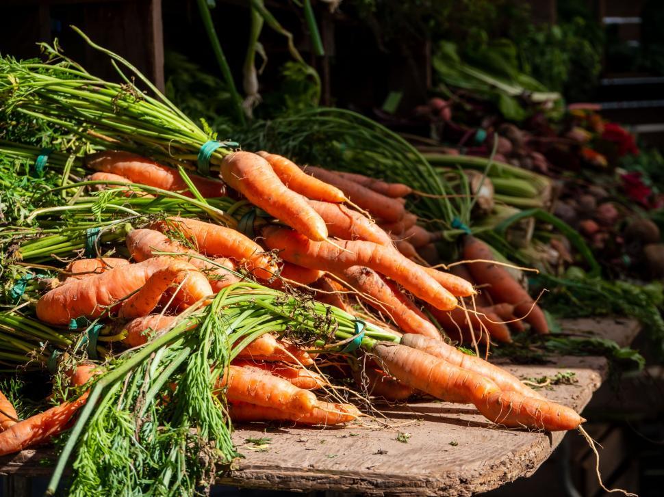 Free Stock Photo of Fresh carrots on a farmer s market stand | Download ...
