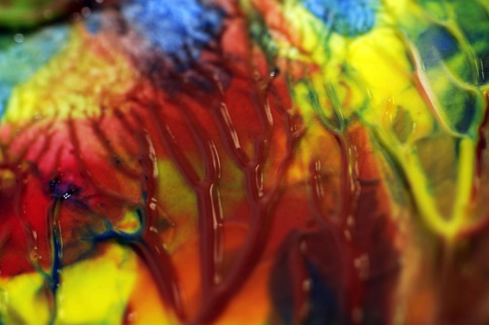 Free Stock Photo of Colorful | Download Free Images and Free Illustrations