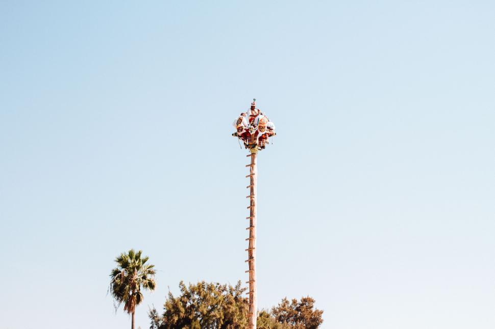 Free Stock Photo of Cellular tower disguised as a palm tree skyline ...