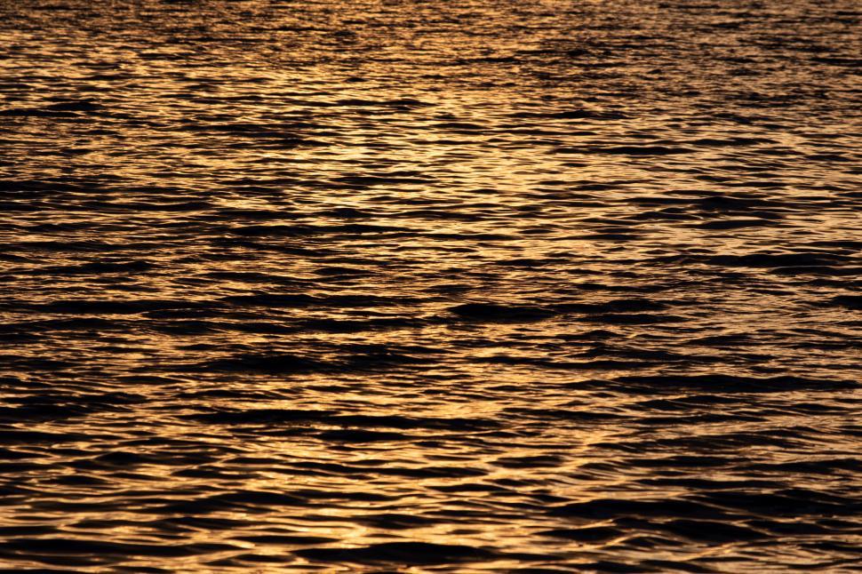 Free Stock Photo of Golden ripples on tranquil water surface | Download ...