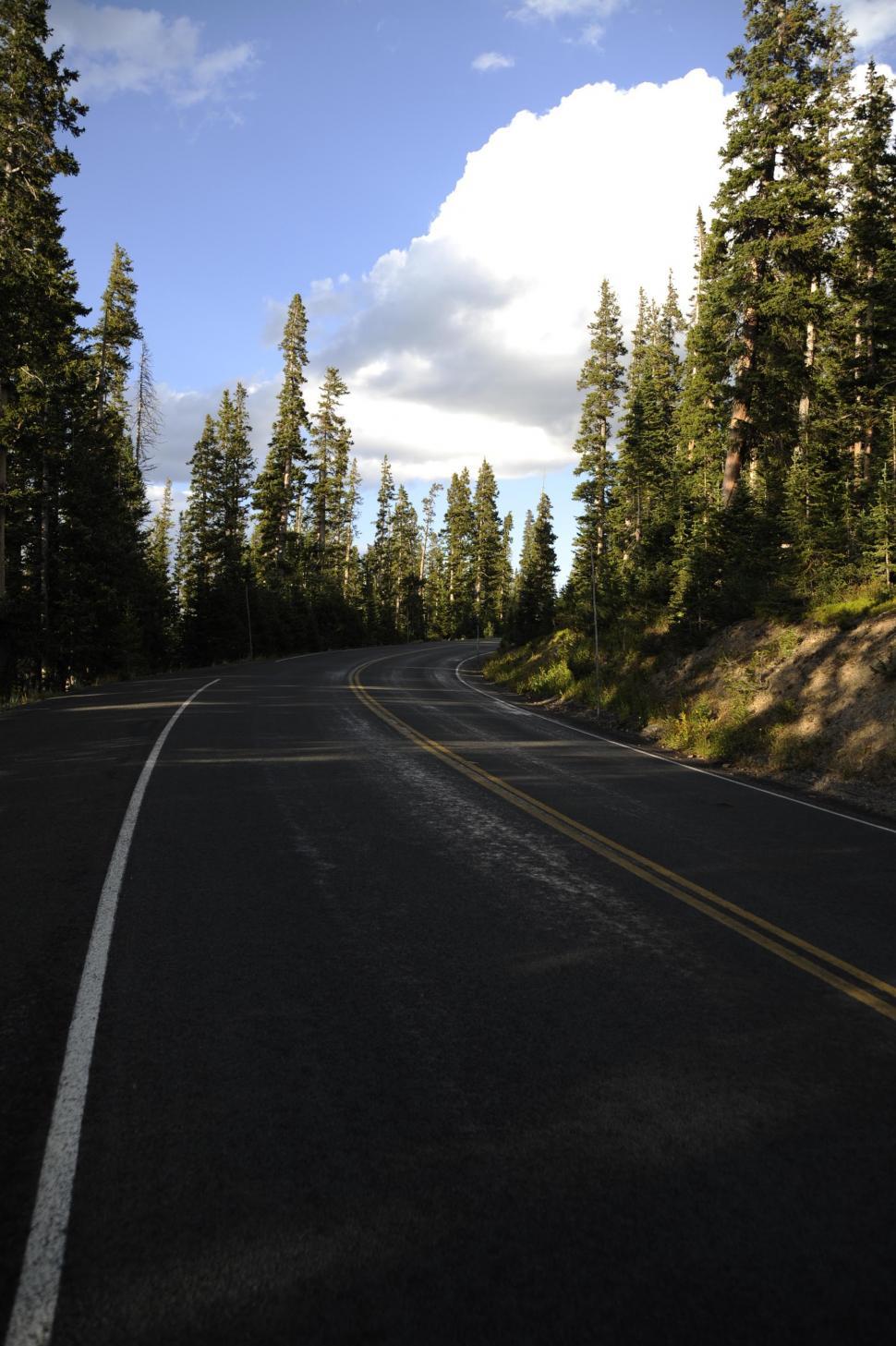 Free Stock Photo of Road | Download Free Images and Free Illustrations