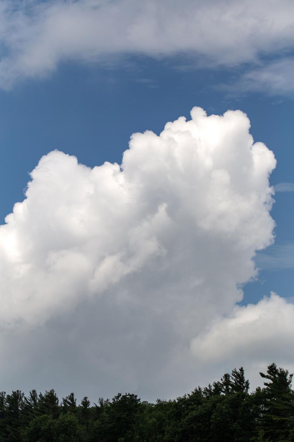 Free Stock Photo of Cumulus clouds over a lush treeline | Download Free ...