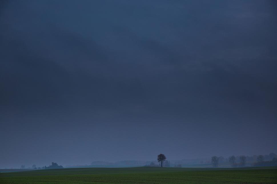 Free Stock Photo of Lone Tree on Misty Horizon at Twilight | Download ...