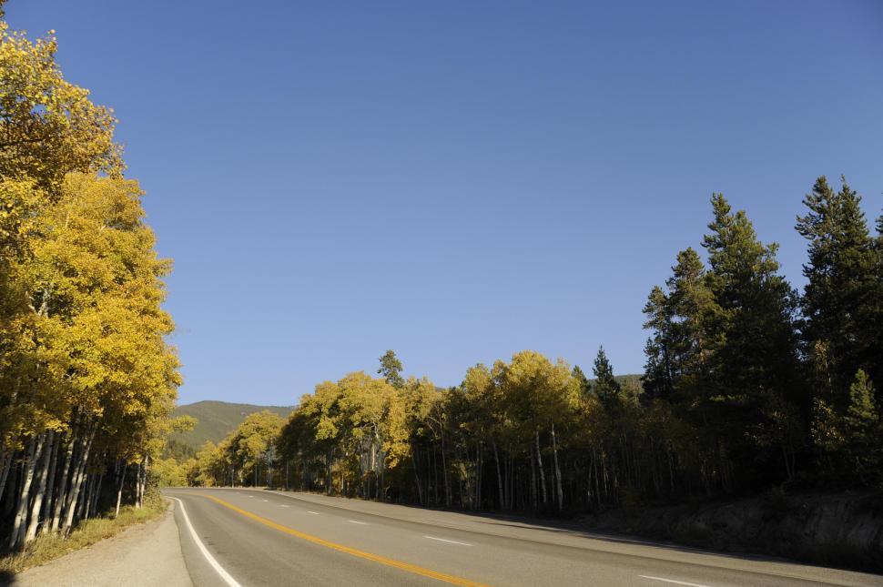 Free Stock Photo of Road surrounded by trees | Download Free Images and ...
