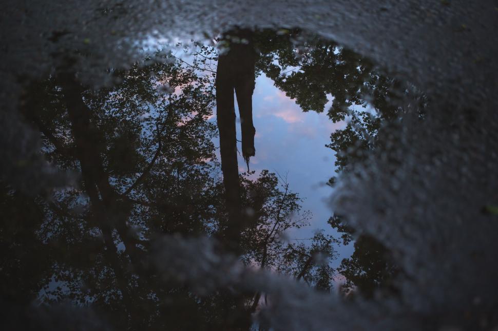 Free Stock Photo of Reflection of a person in a puddle with trees ...