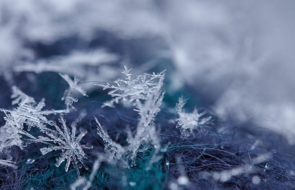 Free Stock Photo of Intricate Snowflakes on Blue Fiber Texture ...
