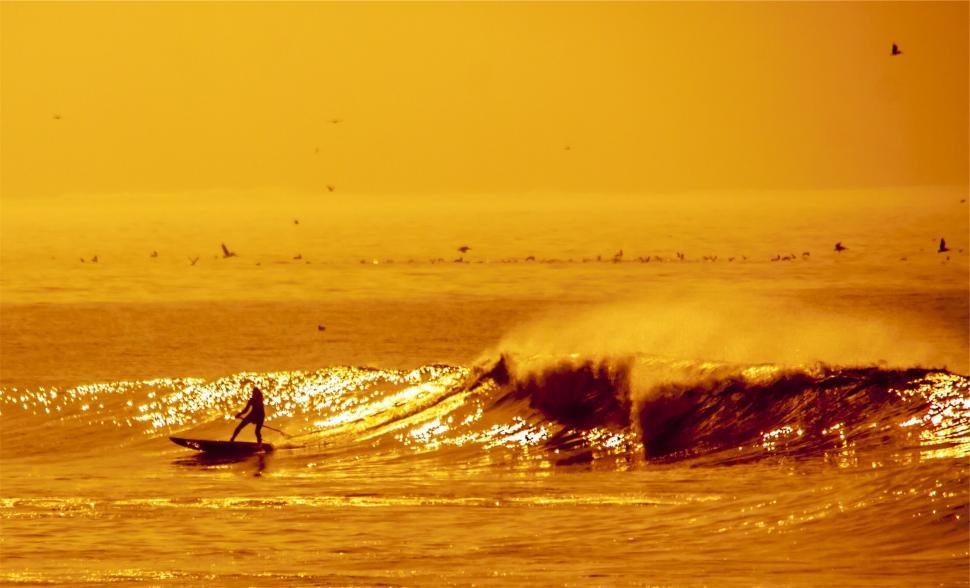 Free Stock Photo of Surfer riding wave at golden sunset | Download Free ...