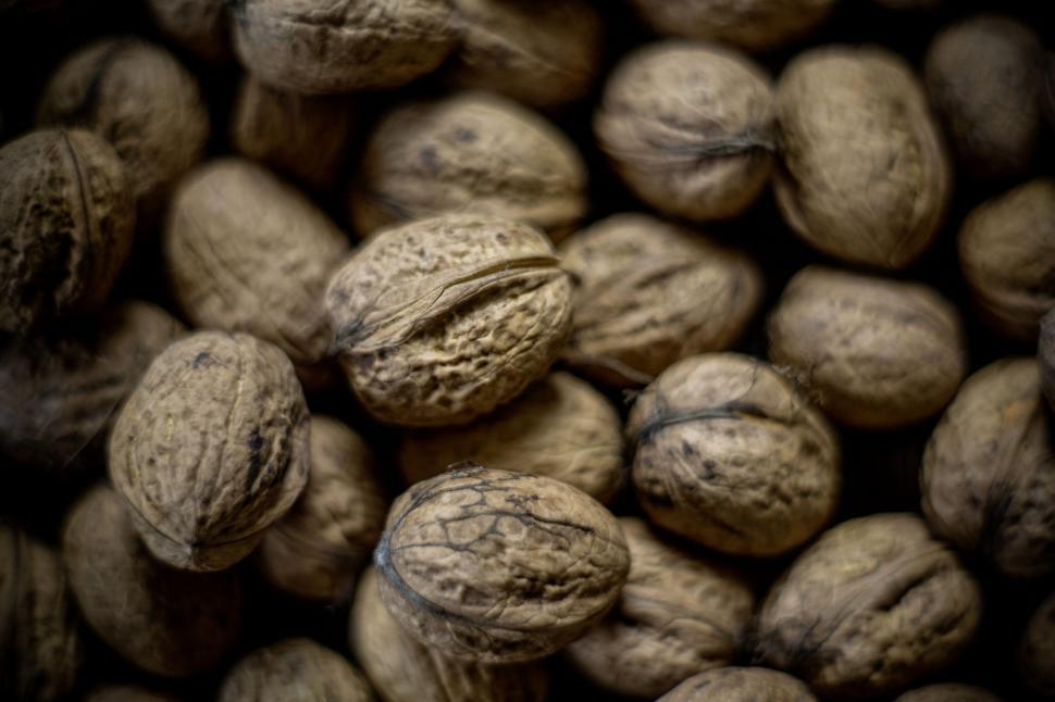 Free Stock Photo of Close-up of walnuts in soft focus | Download Free ...
