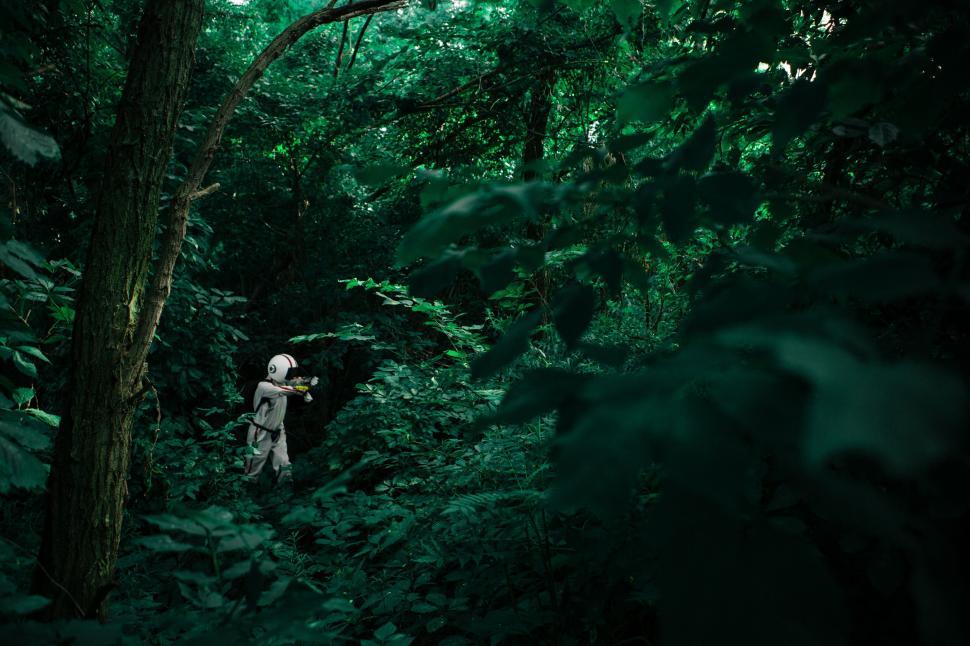 Free Stock Photo of Astronaut figurine exploring green forest ...