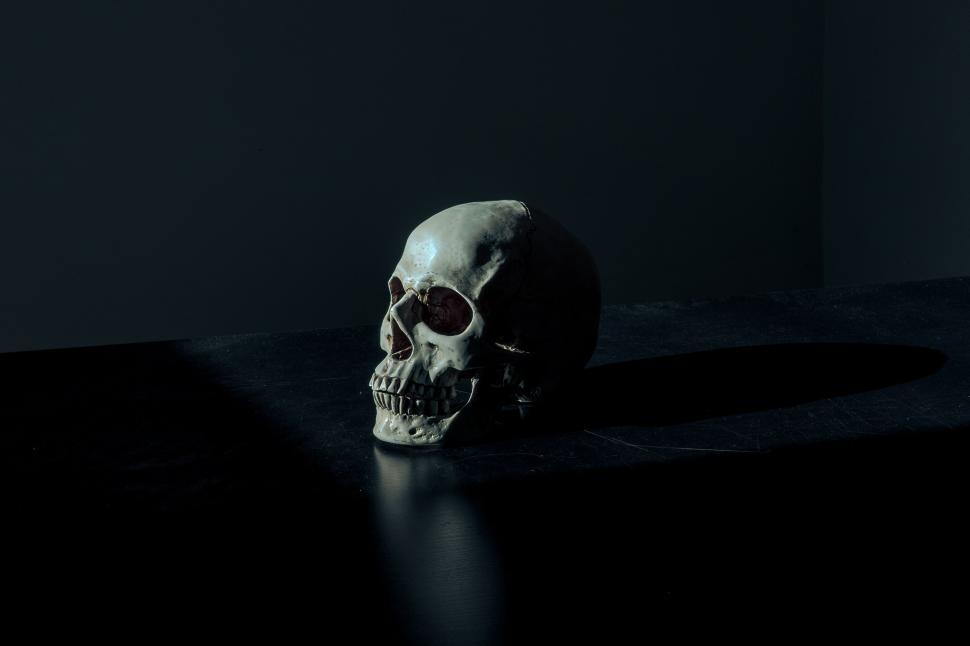 Free Stock Photo of Human skull on shadowy background | Download Free ...