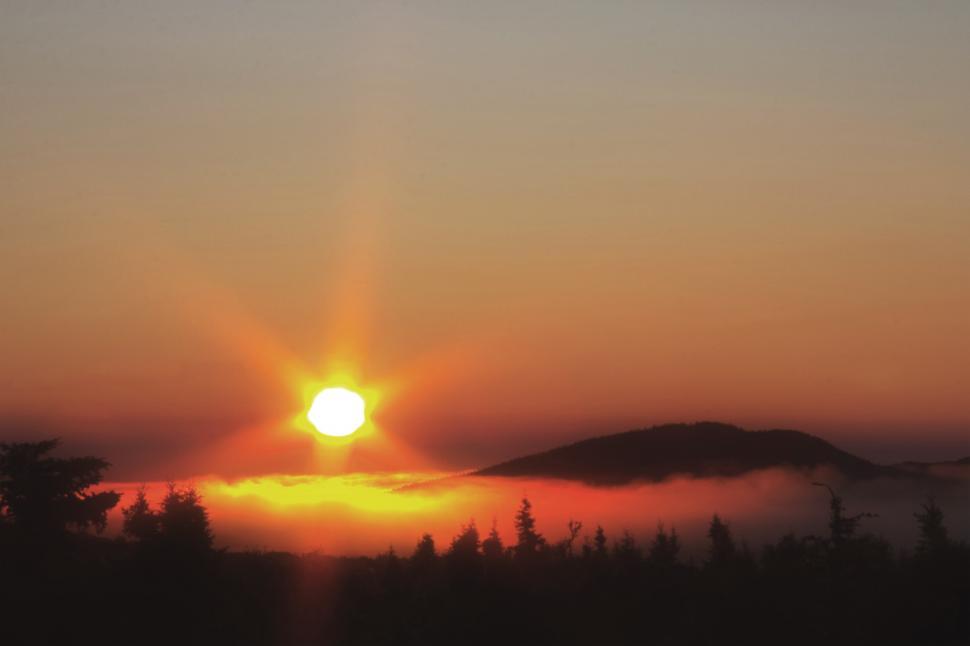 Free Stock Photo of Sunrise | Download Free Images and Free Illustrations