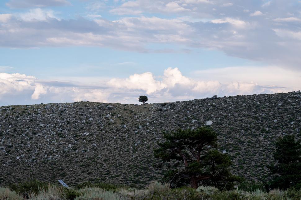 Free Stock Photo of Lone tree in a vast barren landscape | Download ...