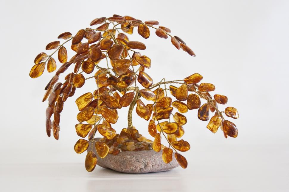Free Stock Photo of Amber Tree | Download Free Images and Free ...