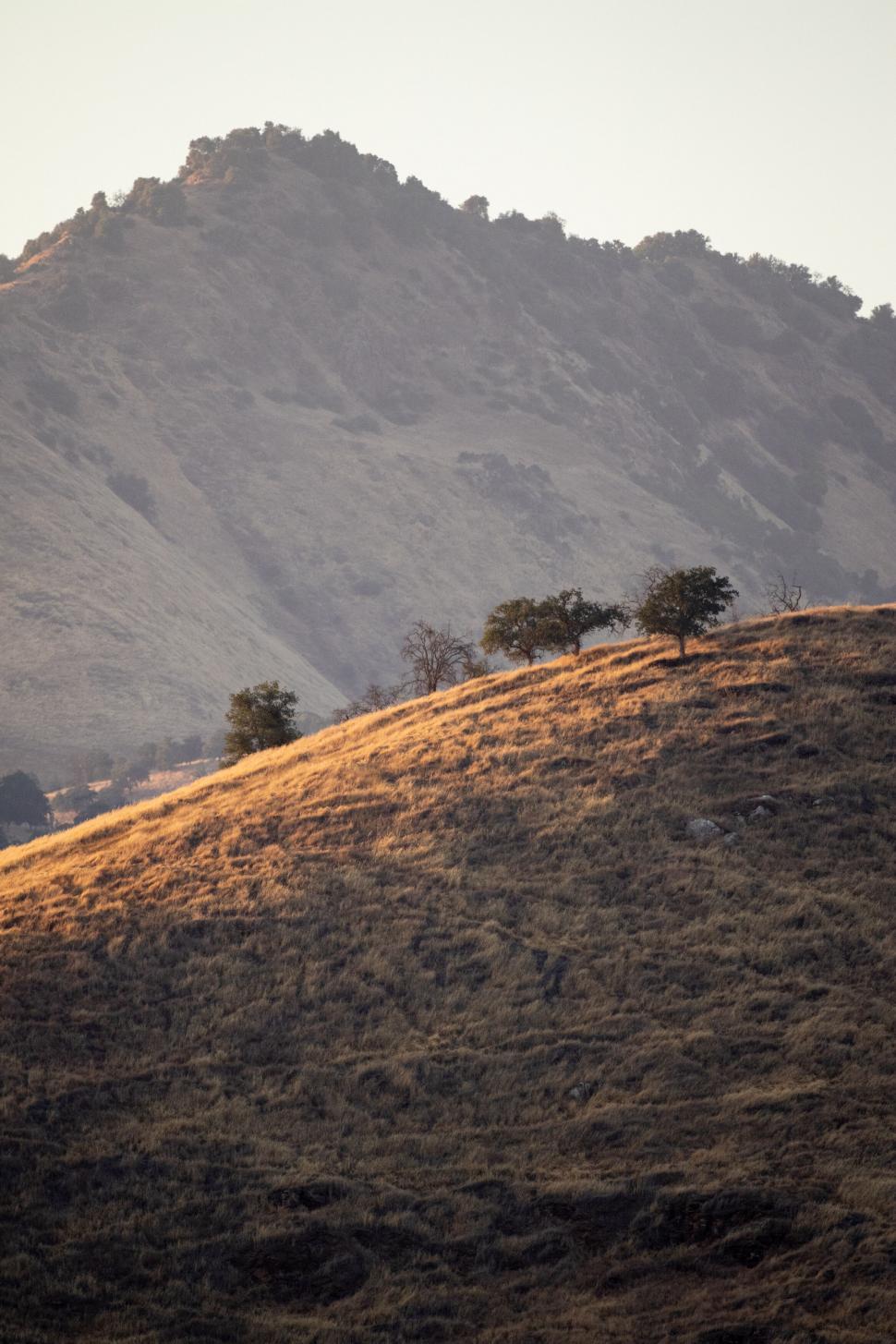 Free Stock Photo of Sunset over hill with trees and rocky textures ...