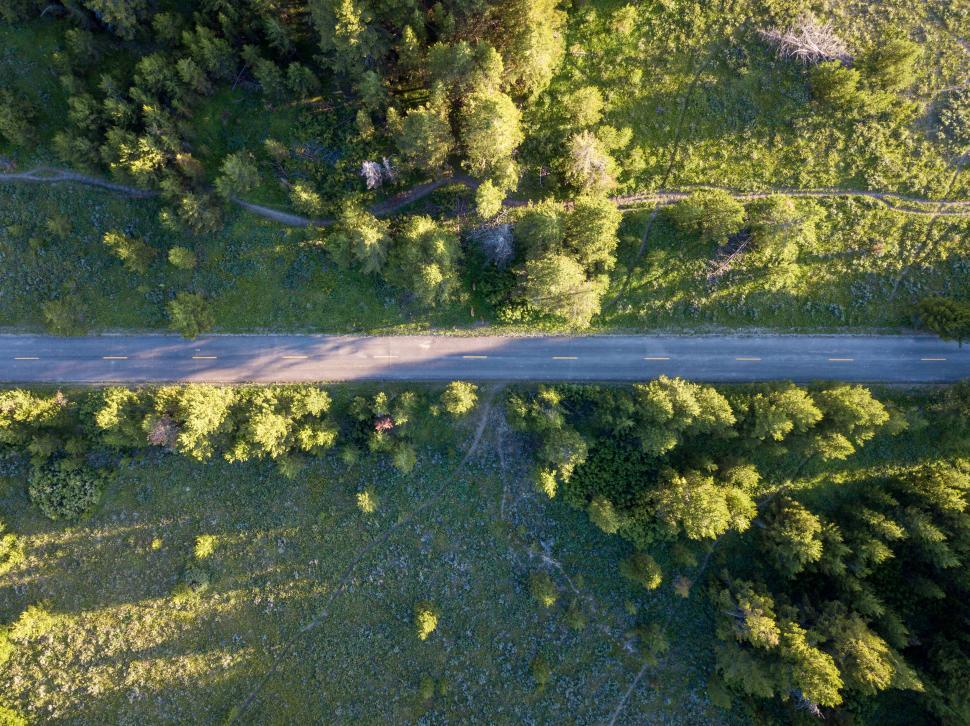 Free Stock Photo of Top-down view of road cutting through forest ...