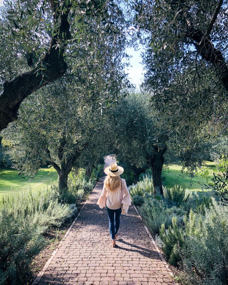 Free Stock Photo of Woman walking down a tree-lined path | Download ...