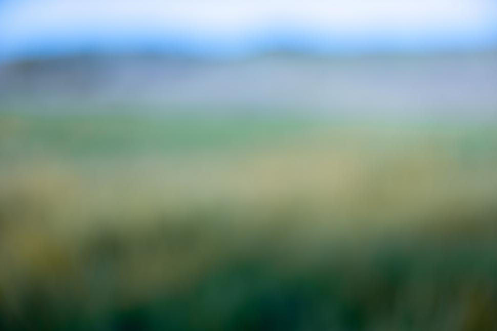 Free Stock Photo of Abstract blurred landscape of a lush field ...