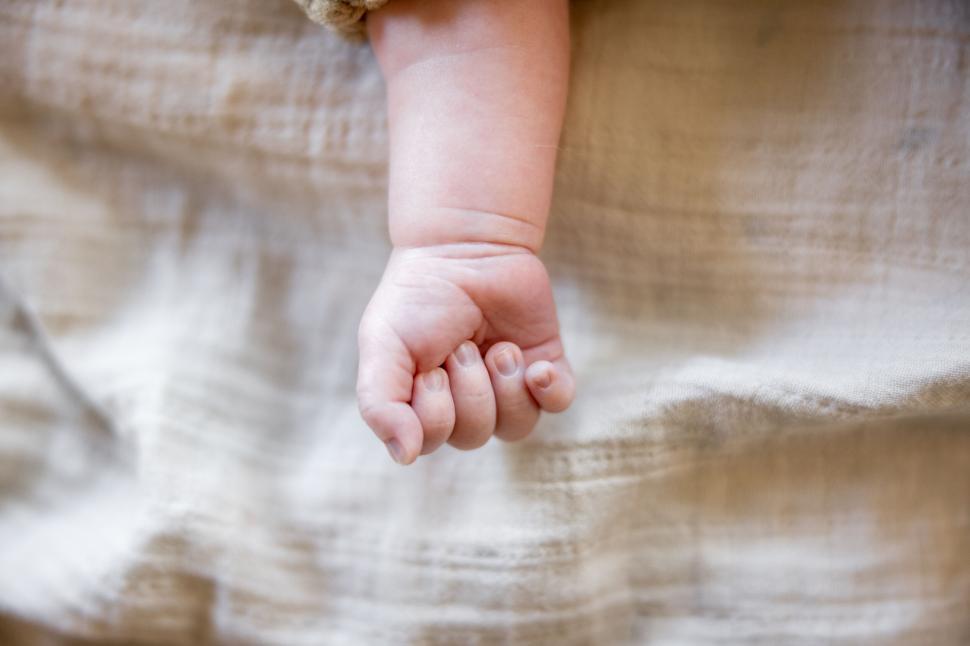 Free Stock Photo of Tiny infant hand gently clenched | Download Free ...