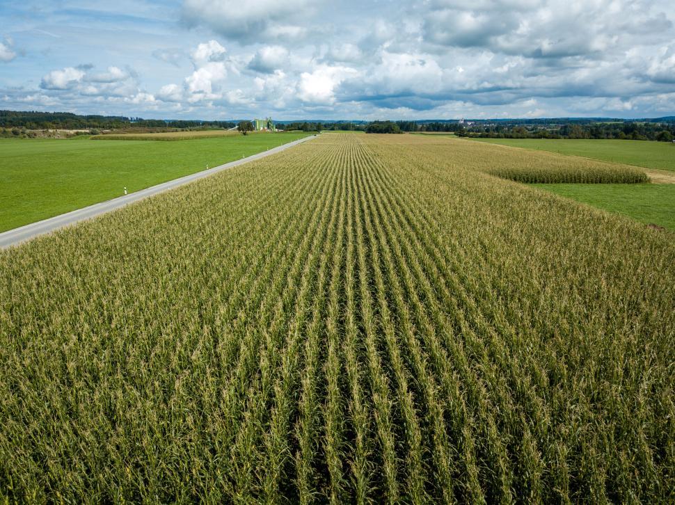 Free Stock Photo of Aerial view of lush green crop fields | Download ...