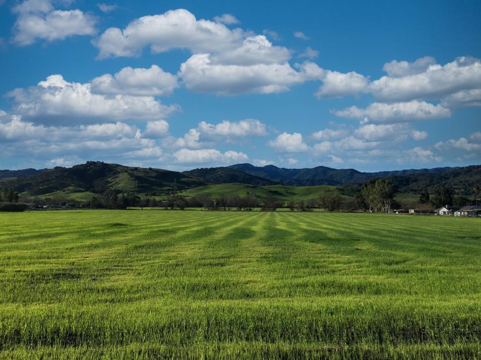 Free Stock Photo of Lush green landscape with rolling hills | Download ...