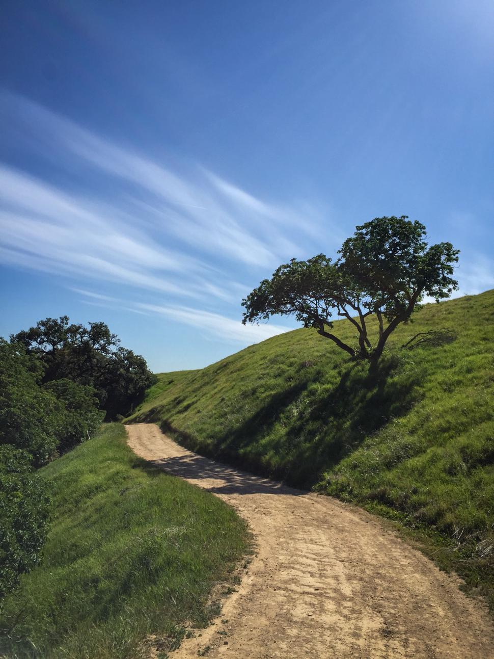Free Stock Photo of Path through lush green countryside under blue sky ...