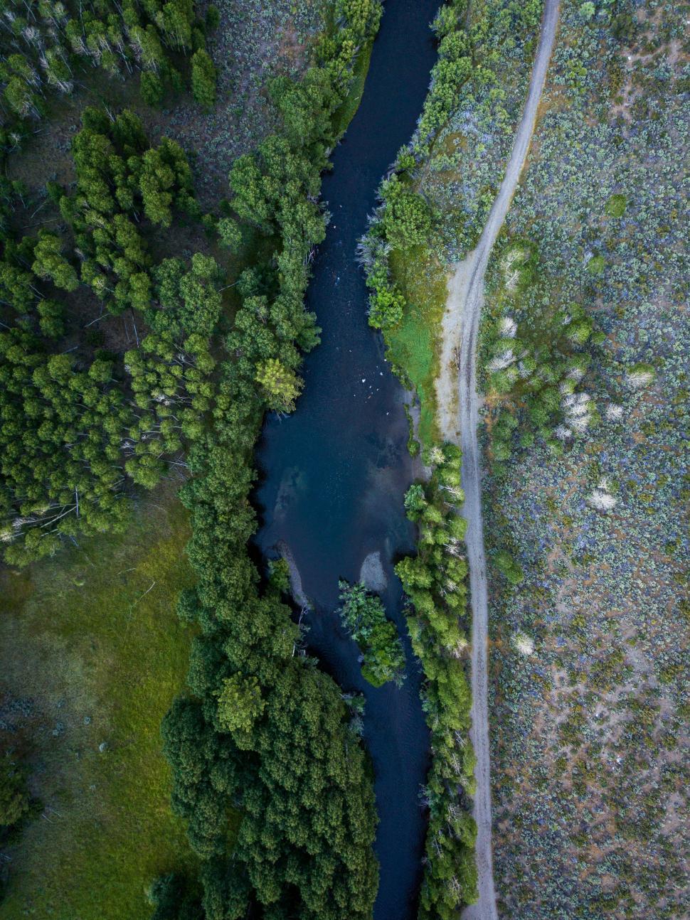 Free Stock Photo of River Flowing Through Lush Green Forest | Download Free Images and Free ...