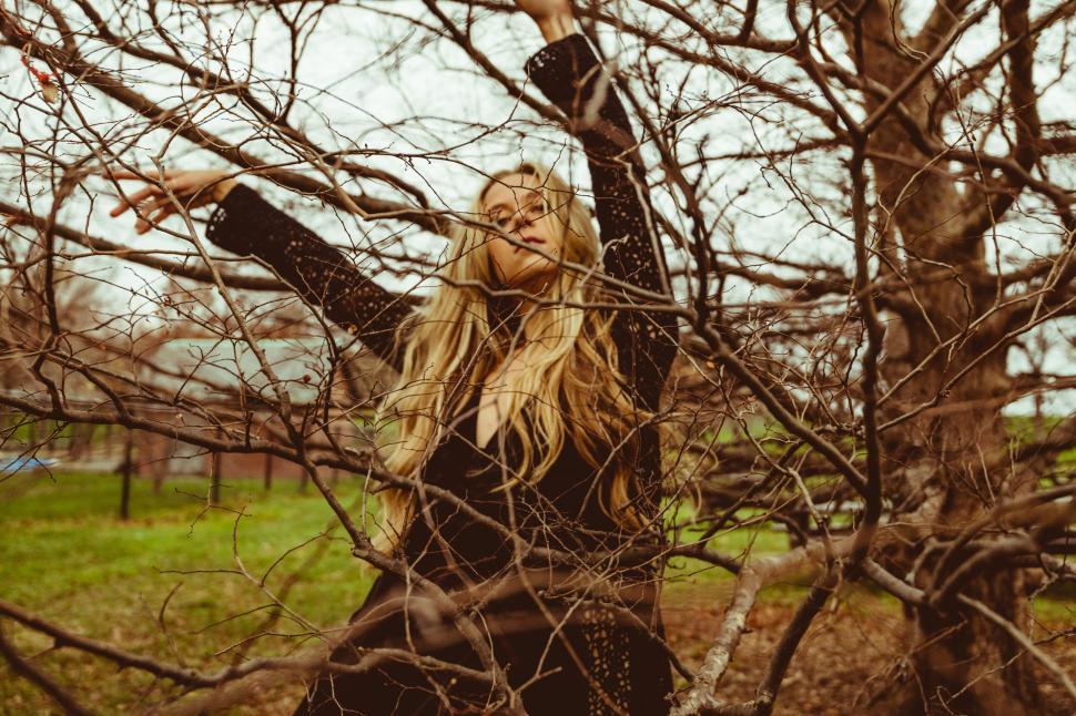 Free Stock Photo of Blonde entwined in bare tree branches | Download ...