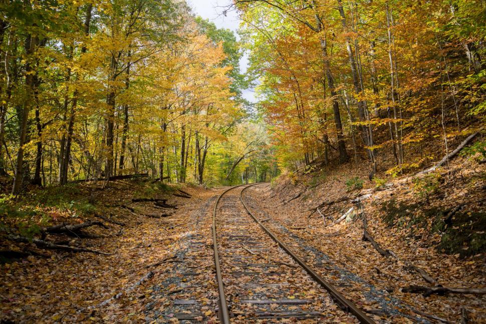 Free Stock Photo of Railroad in autumn forest scenery | Download Free ...