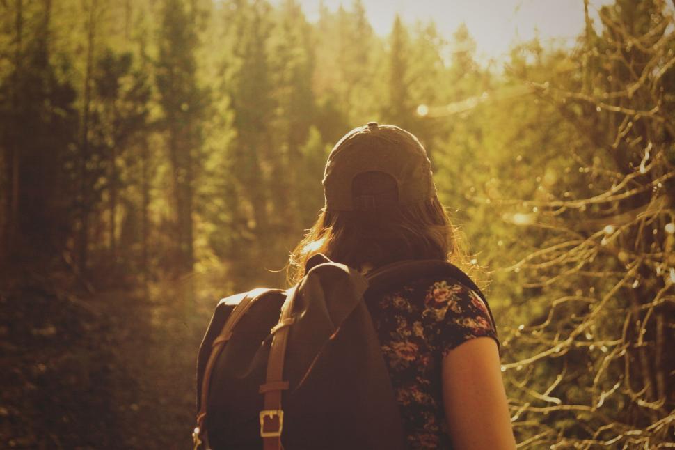 Free Stock Photo of Hiker exploring a sun-kissed forest trail ...