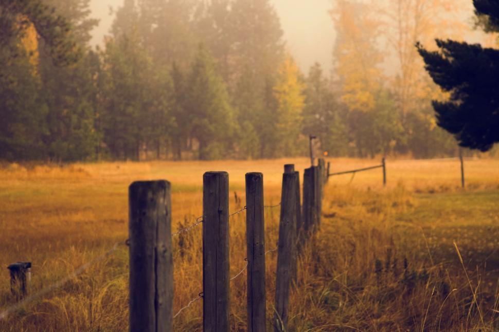 Free Stock Photo of Fog-covered field with wooden fence | Download Free ...