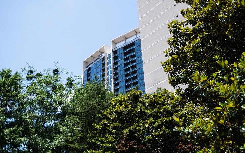 Free Stock Photo of Modern building peeking above green trees ...